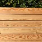 Siberian Larch Cladding Rainscreen - Rounded edge Profile